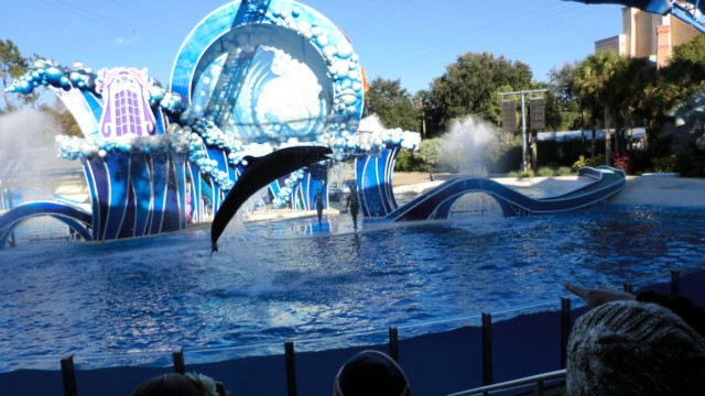 Review of Blue Horizons at SeaWorld
