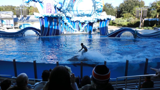 Review of Blue Horizons at SeaWorld
