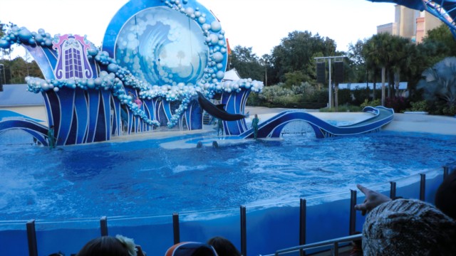 Review of Blue Horizons at SeaWorld